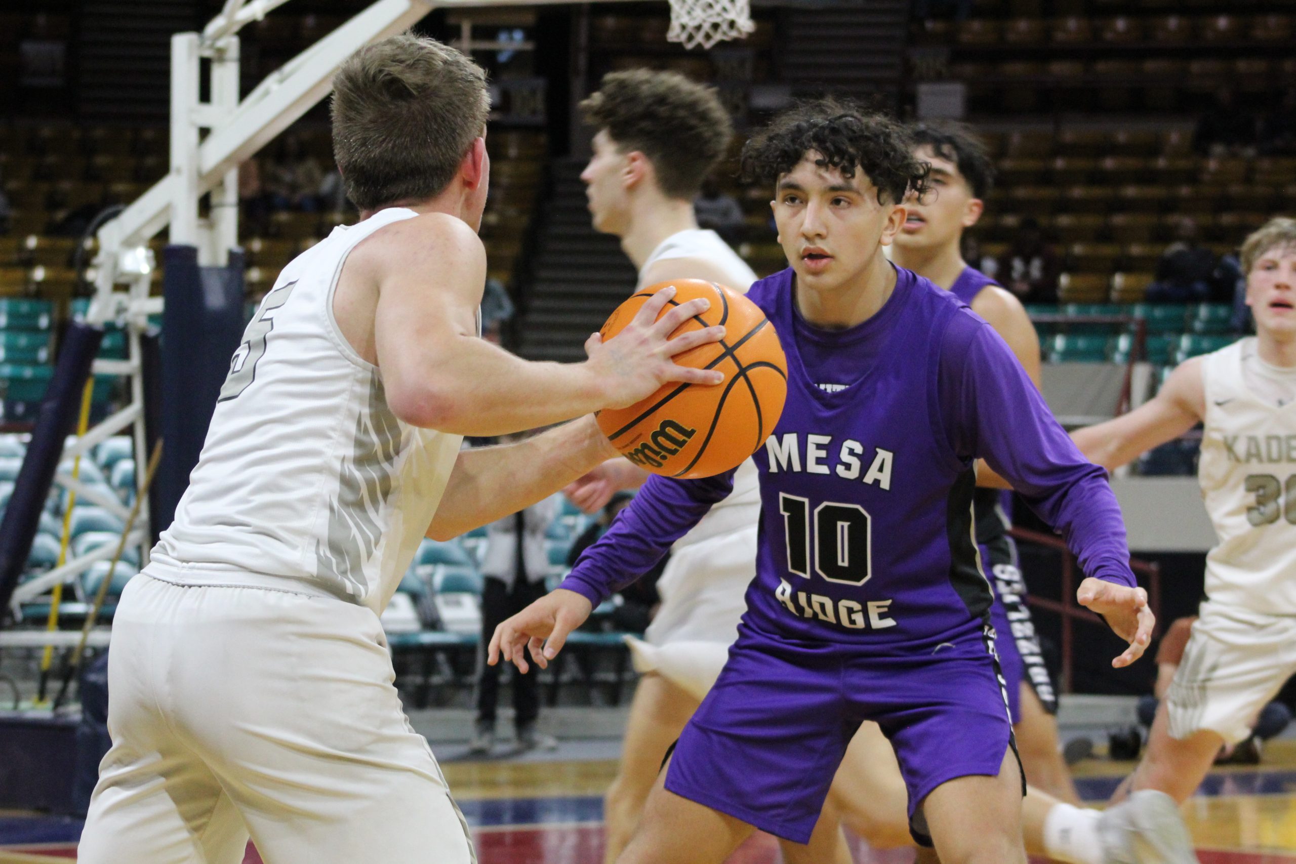 Un-Riehl! Mesa Ridge Caps Perfect Season with First State Title in ...